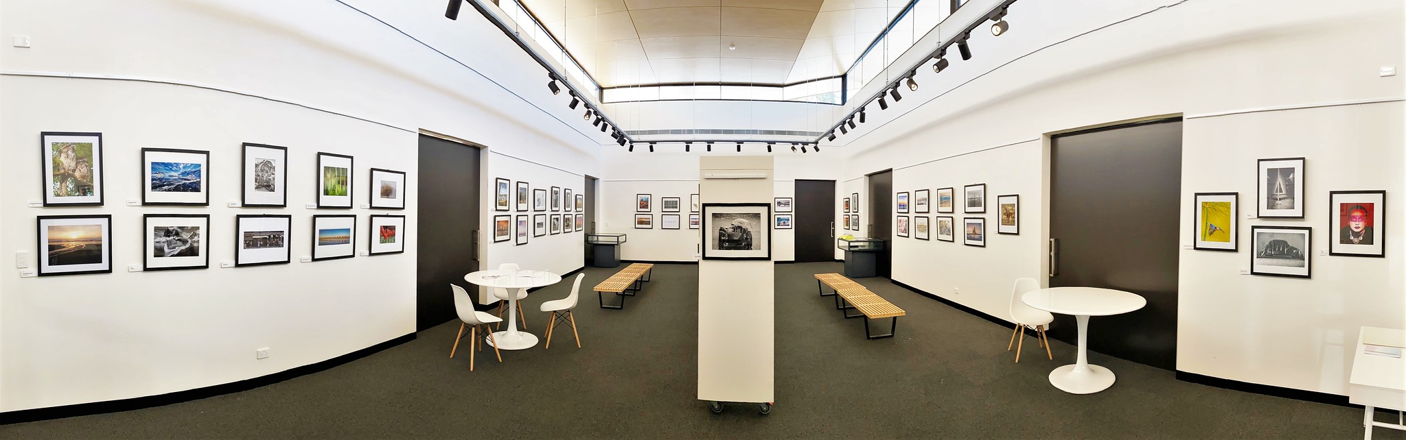 Conclusion of our “In Focus” exhibition – Waverley Camera Club