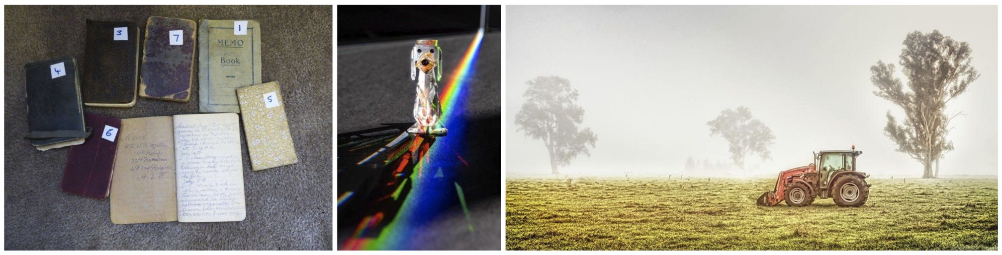 Photopix – June 2020 – Waverley Camera Club