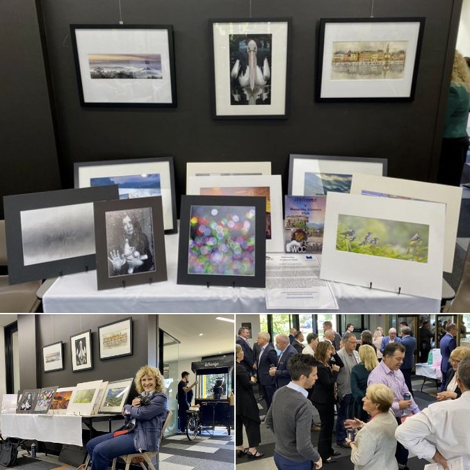 Display at local government event – Waverley Camera Club
