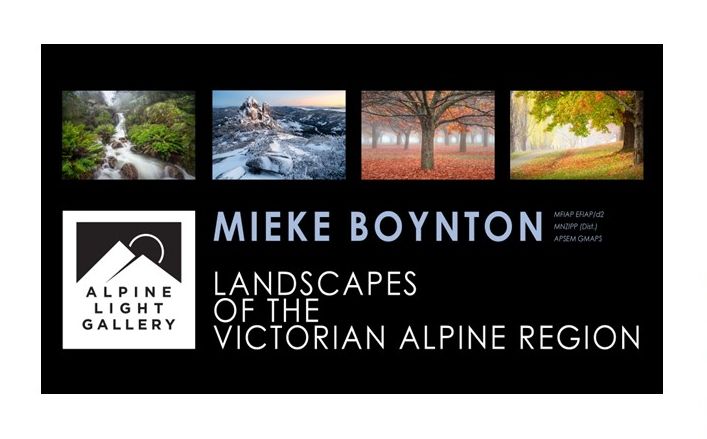 Special presentation from Mieke Boynton focusing on Bright and ...